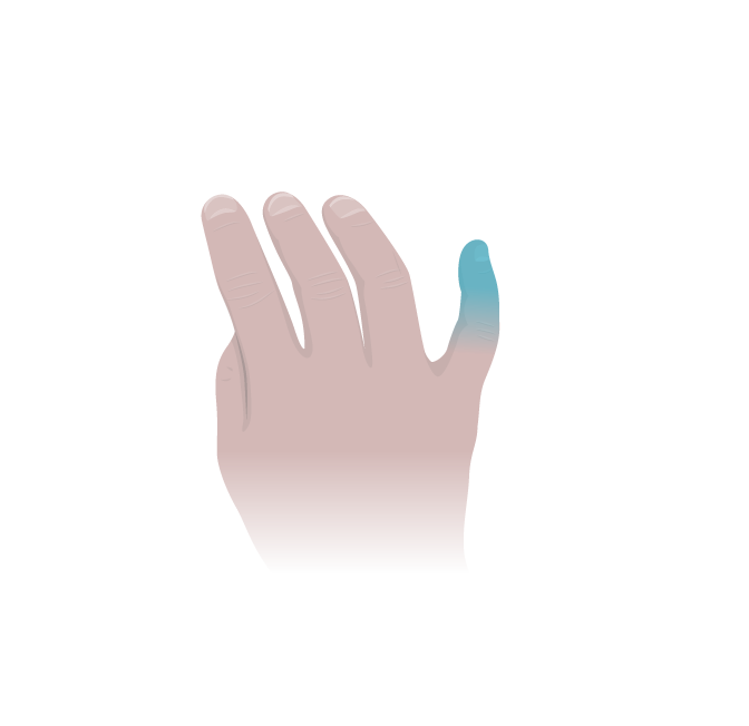 Hand position 2 for E